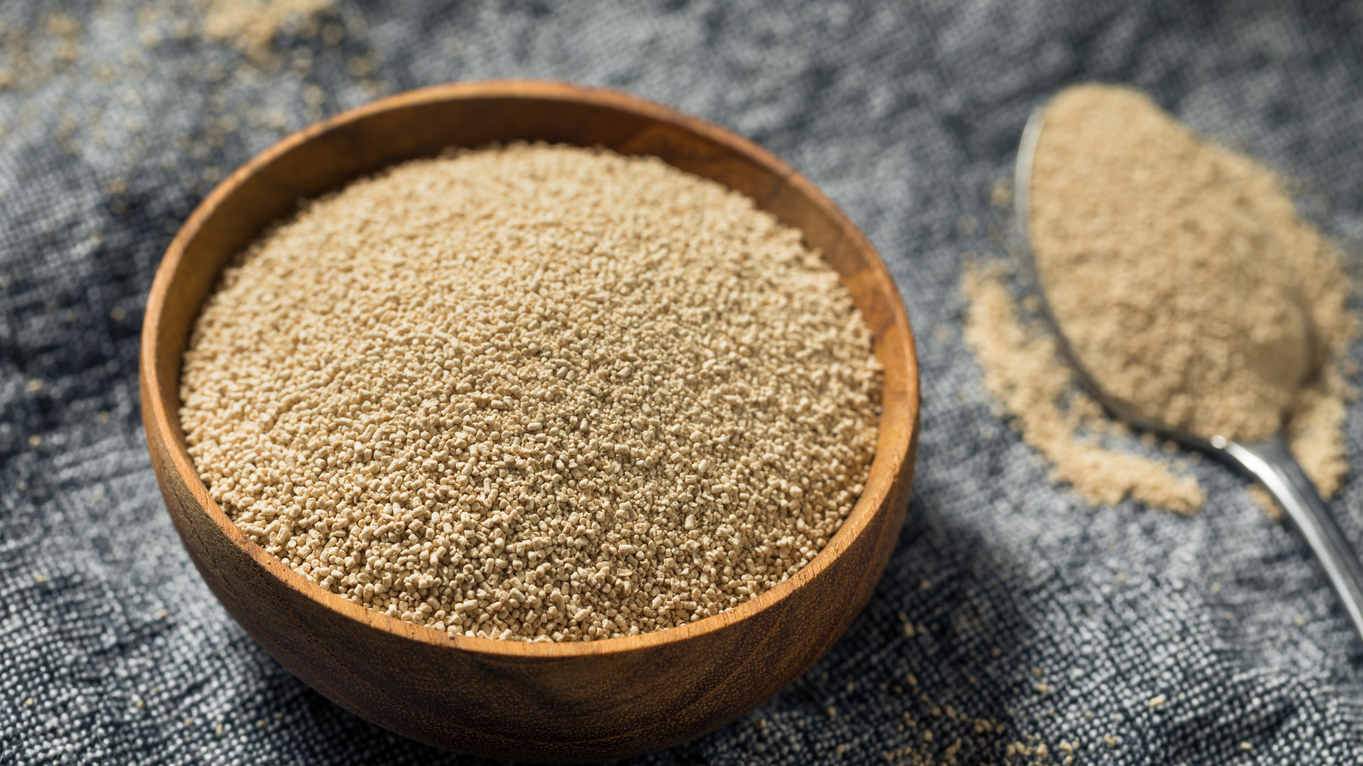 El origen de la levadura