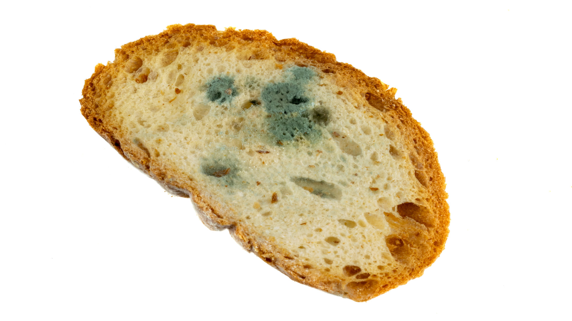Pan con moho: más peligroso de lo que parece